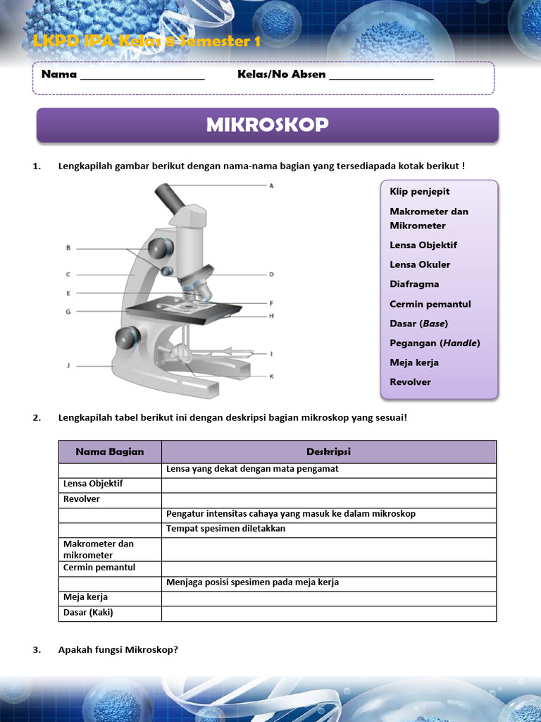 LKPD IPA8 Mikroskop | PDF