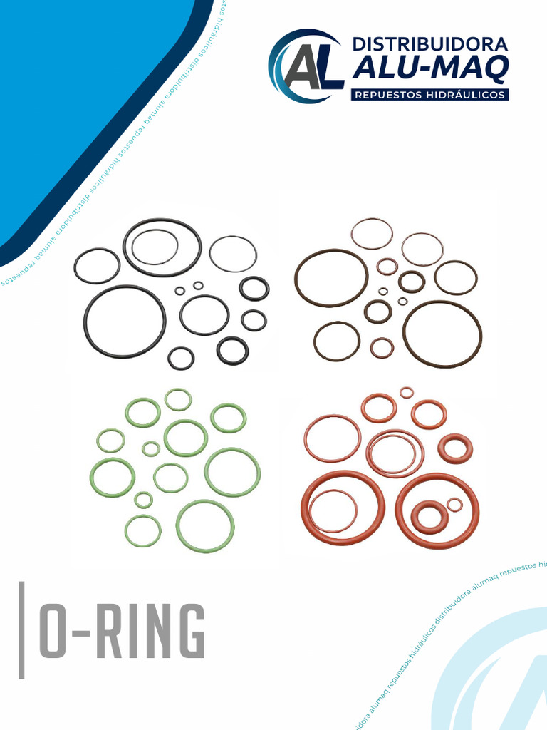 Catalogo Oring | PDF