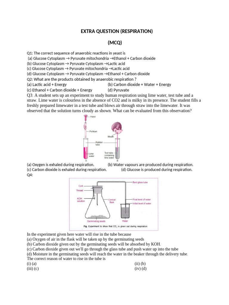Extra Question Respiration | PDF