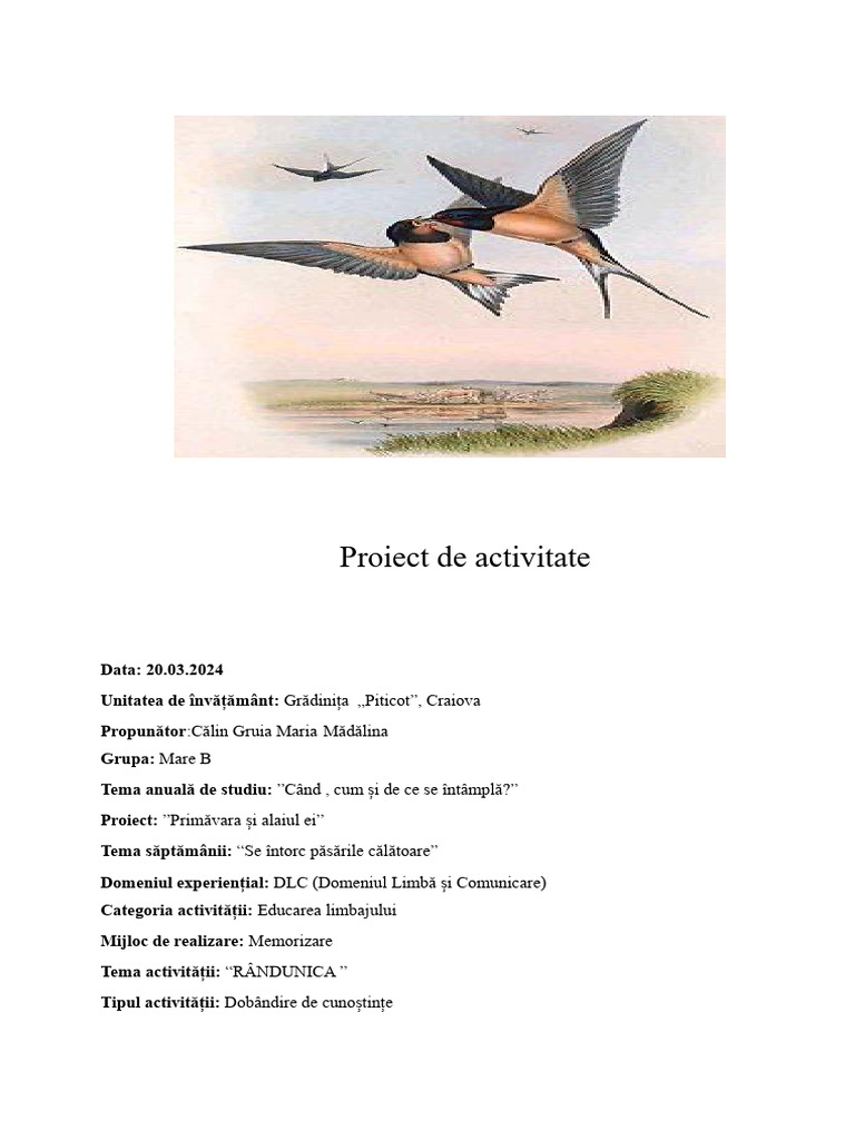 Proiect de Activitate DLC Final | PDF