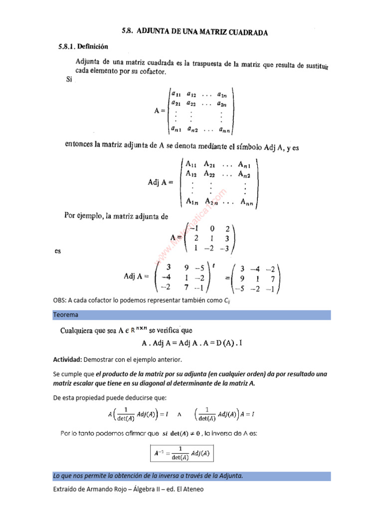 Adjunta de Una Matriz Cuadrada - ROJO A. | PDF