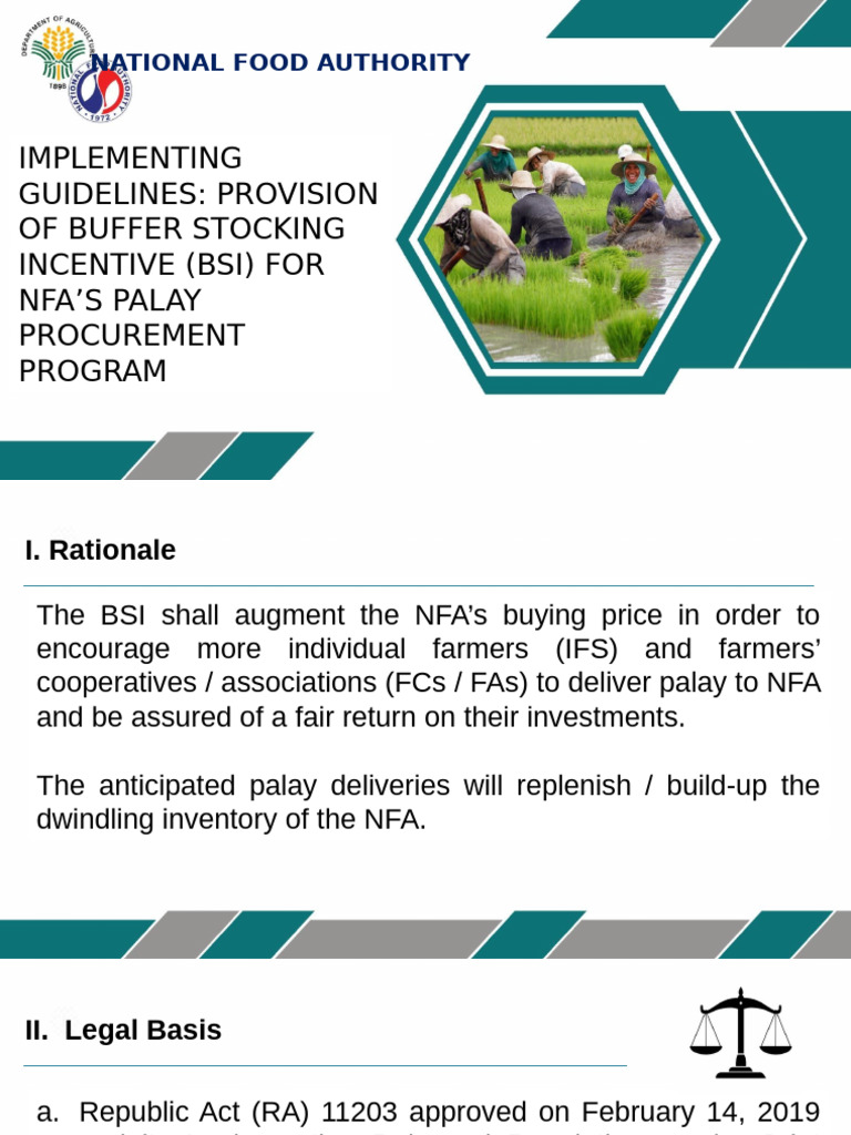 Guidelines On BSI | PDF