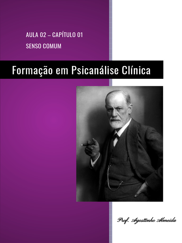 Apostila Aula 02 - Capi Tulo 01 - Senso Comum | PDF