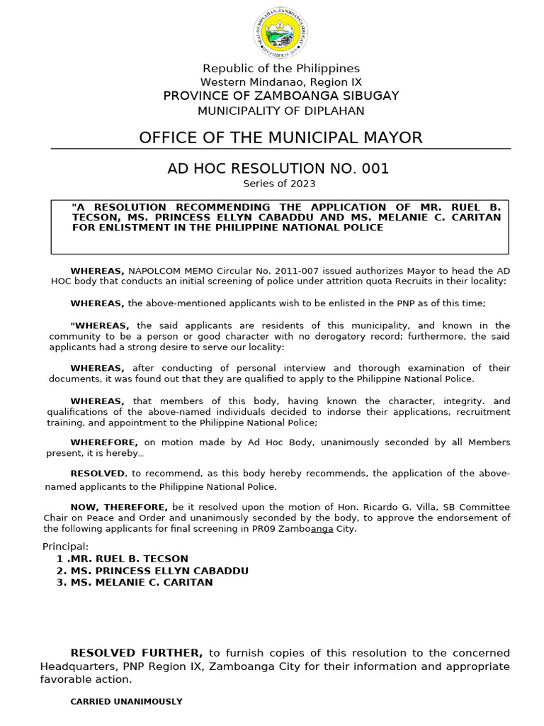 Ad Hoc Resolution | PDF
