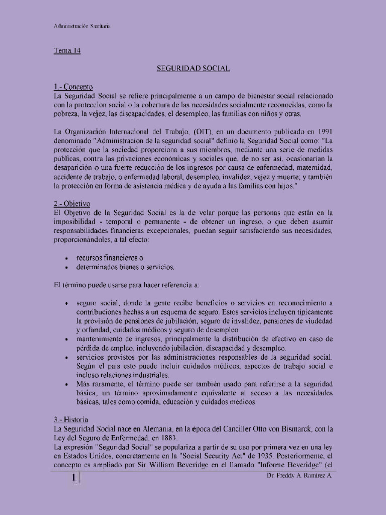 Seguridad Social Pdf