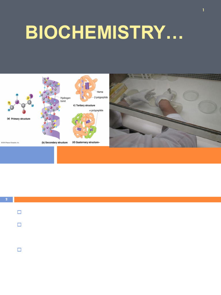 Revised Introduction To Biochemistry | PDF