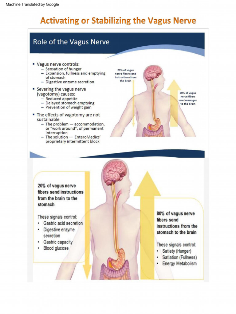 Activating The Vagus Nerve | PDF