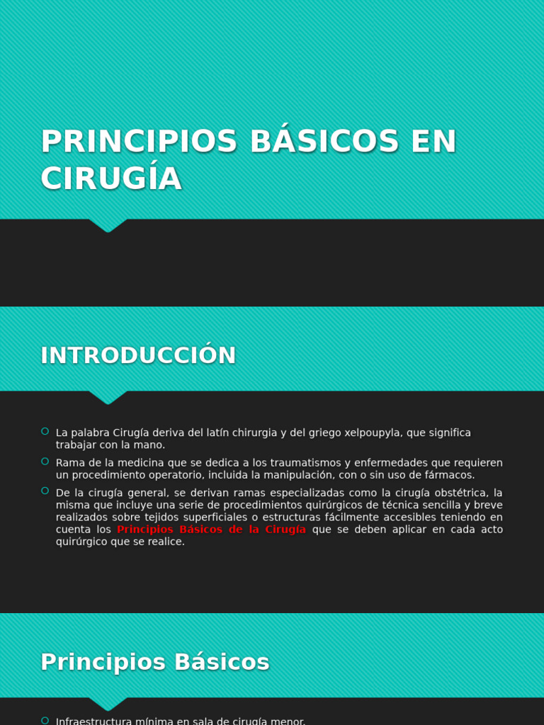 Principios Básicos en Cirugía | PDF