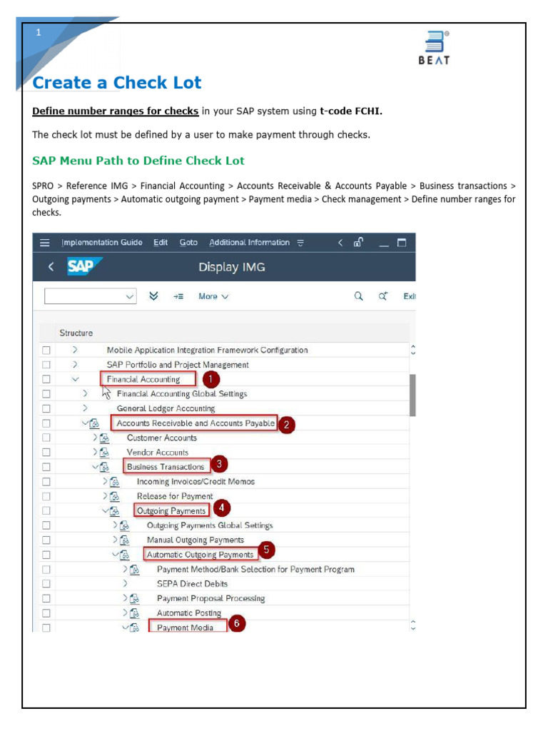 Check Management in SAP FICO | PDF