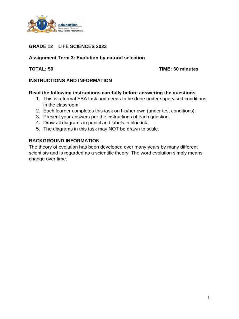 Term 3 GR 12 Assignment 2023 | PDF