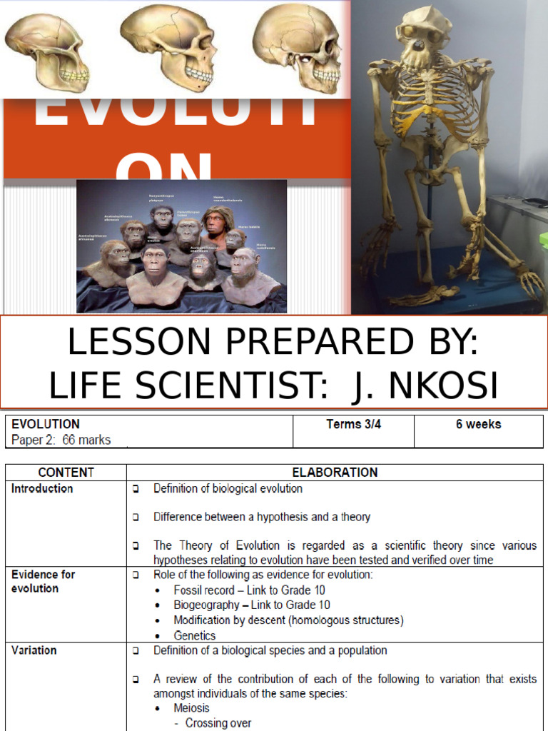 Evolution Revision Lesson | PDF