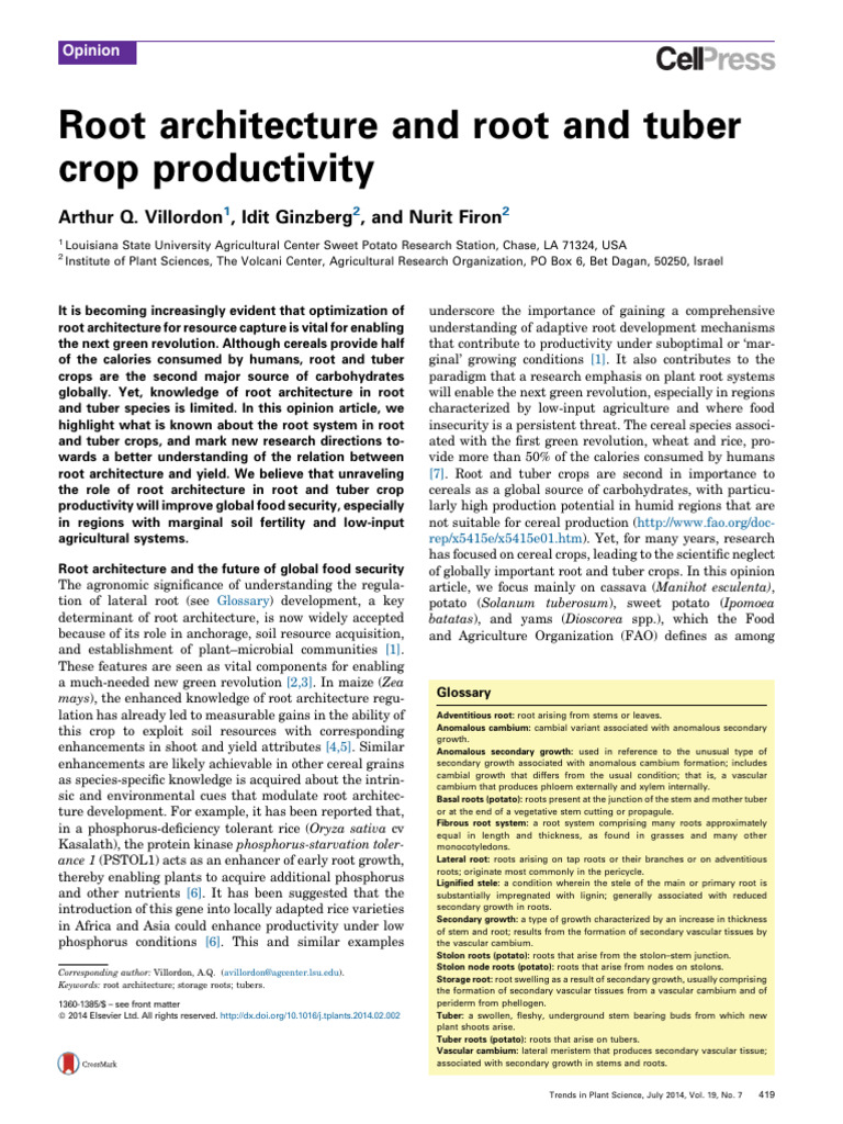ROOT Architecture | PDF