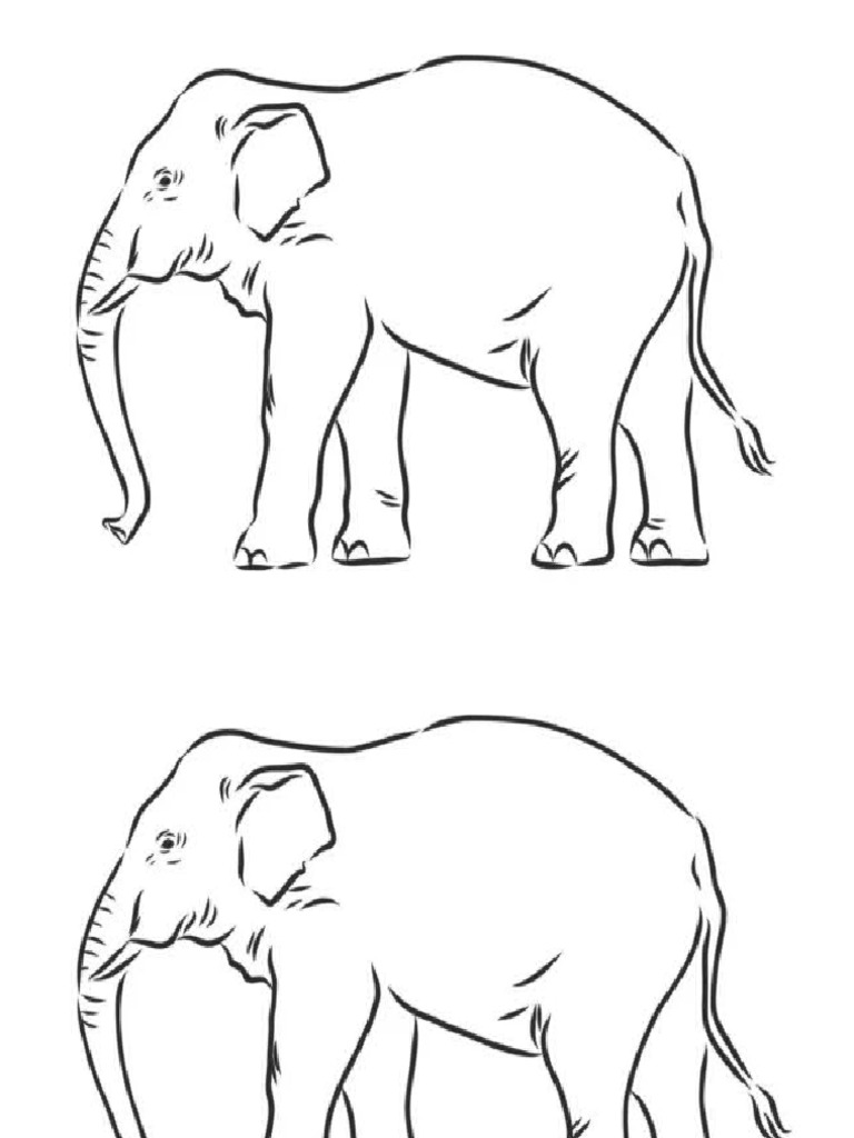 Elephant | PDF
