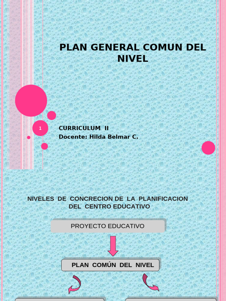 Plan General Comun Del Nivel y Grupal | PDF