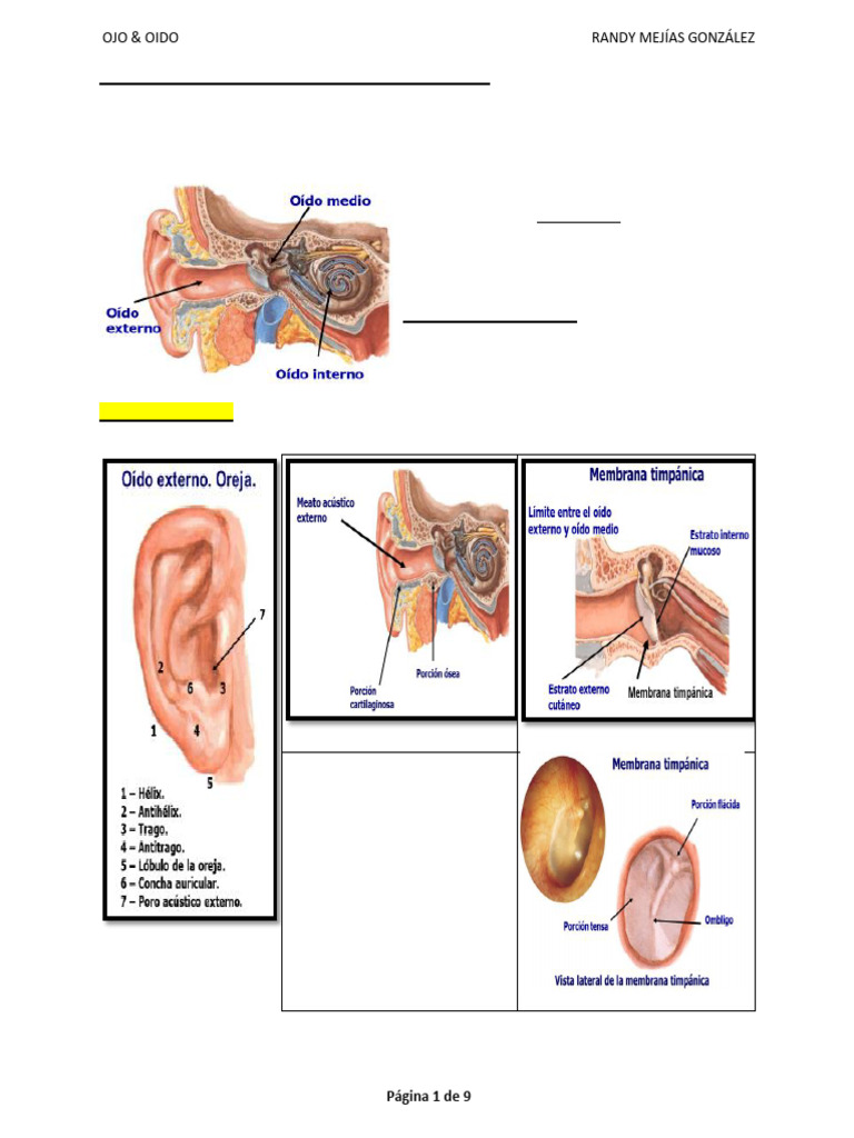 9 - Ojo & Oido | PDF