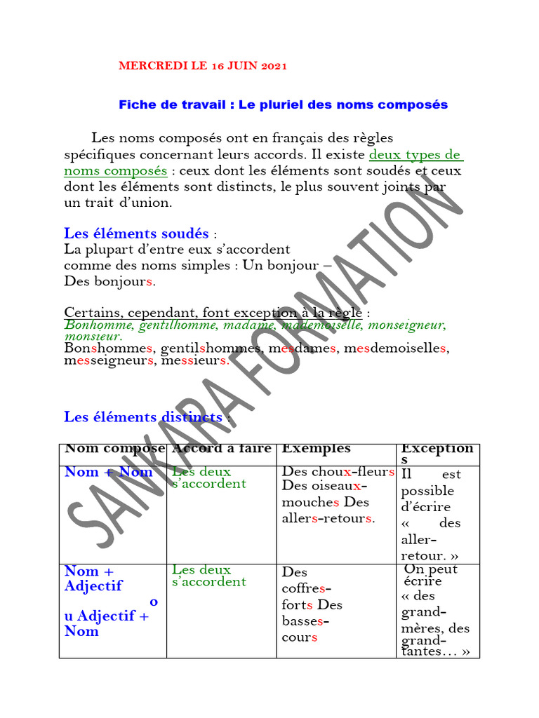 Le Pluriel Des Noms Composés (Cours) | PDF