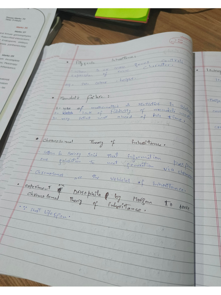 Image PDF 20240823 1951 | PDF