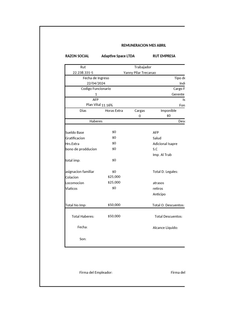 Plantilla Rems | PDF