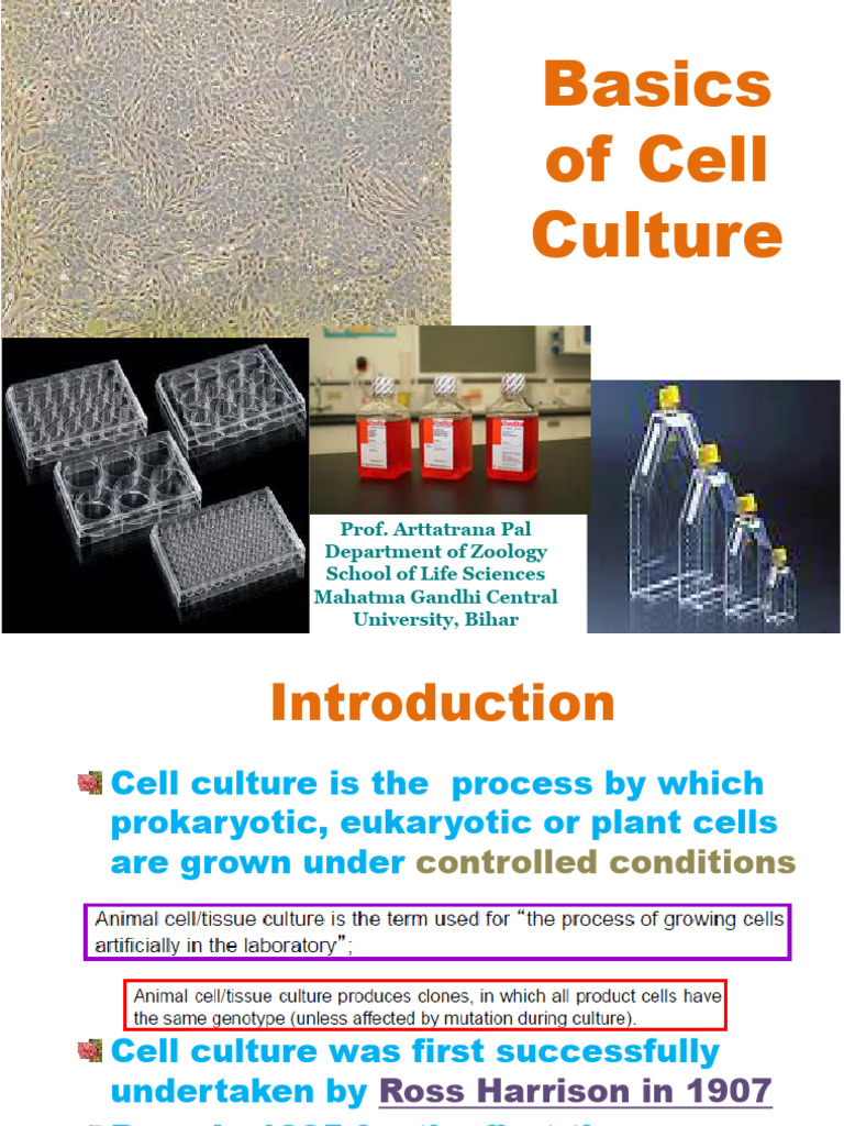 Basics of Cell Culture | PDF