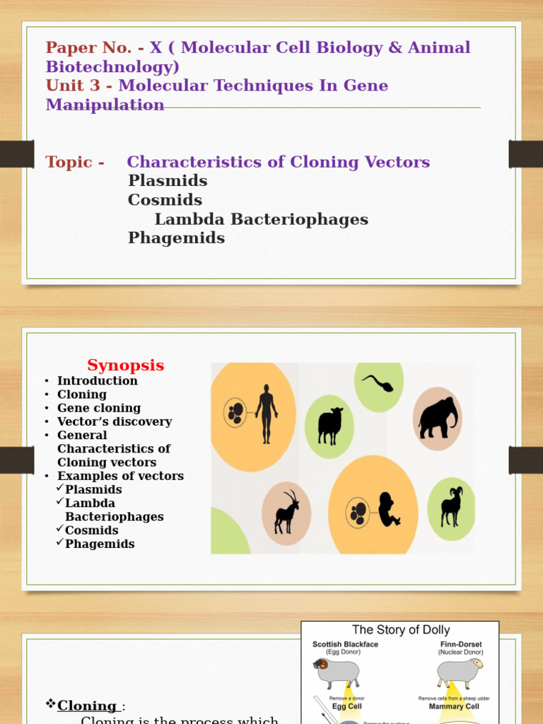 7 Cloning Vectors | PDF