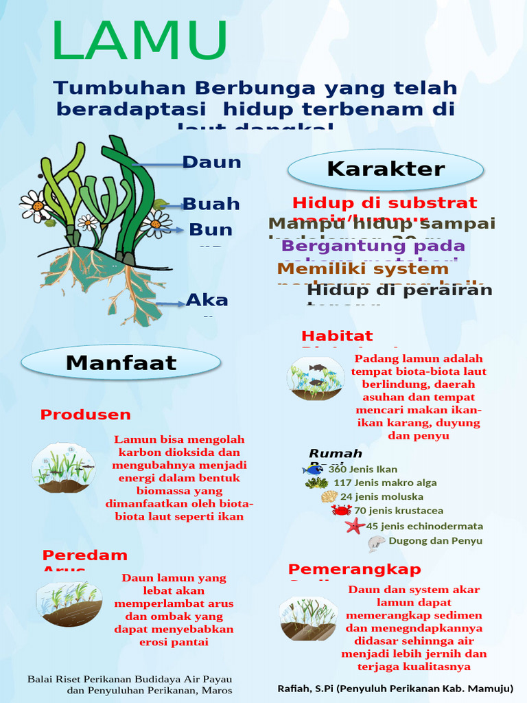 Manfaat Lamun | PDF