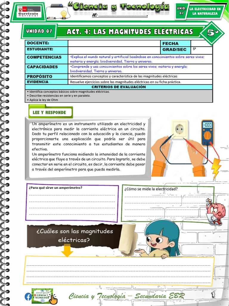 D-5º Act 4-Cyt-Und7 | PDF