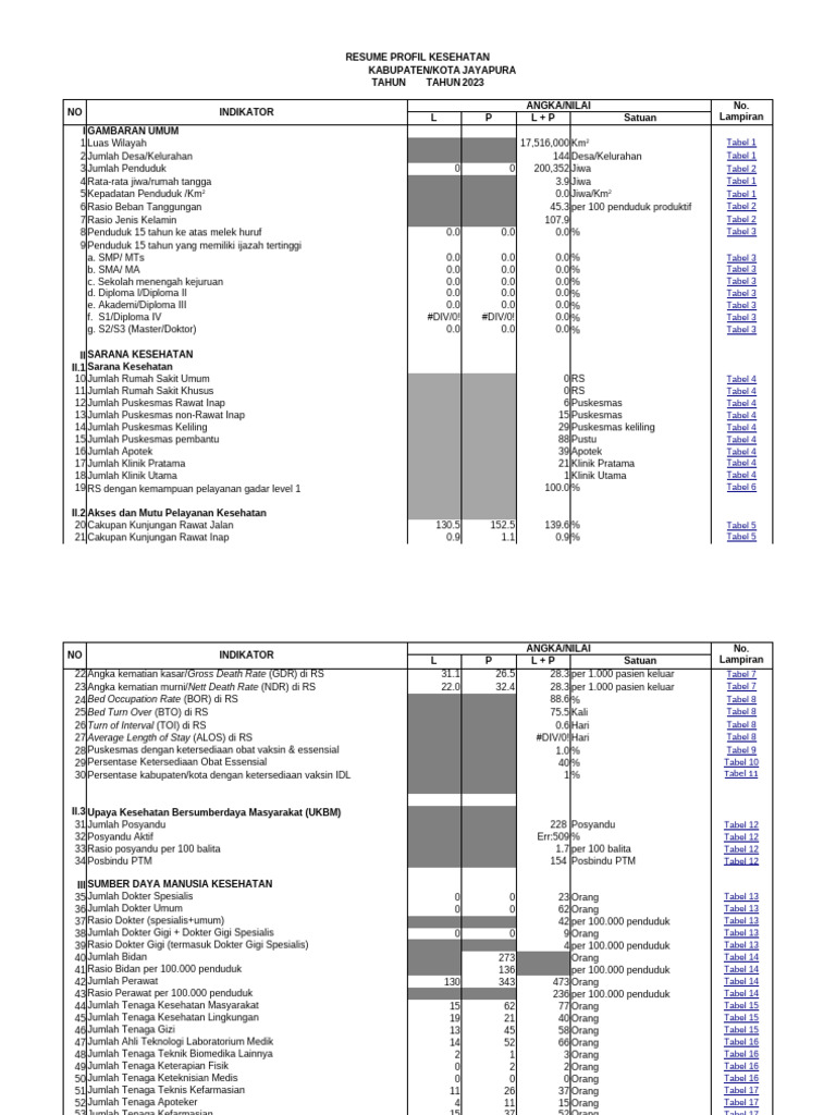 KAB.JAYAPURA_LAMPIRAN-PROFIL-KES_2023 final (3) | PDF