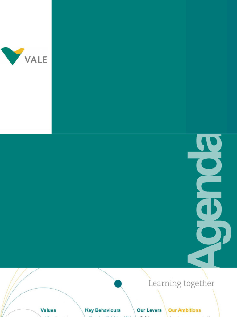 PTVI Mines Process Flow For Visitors | PDF