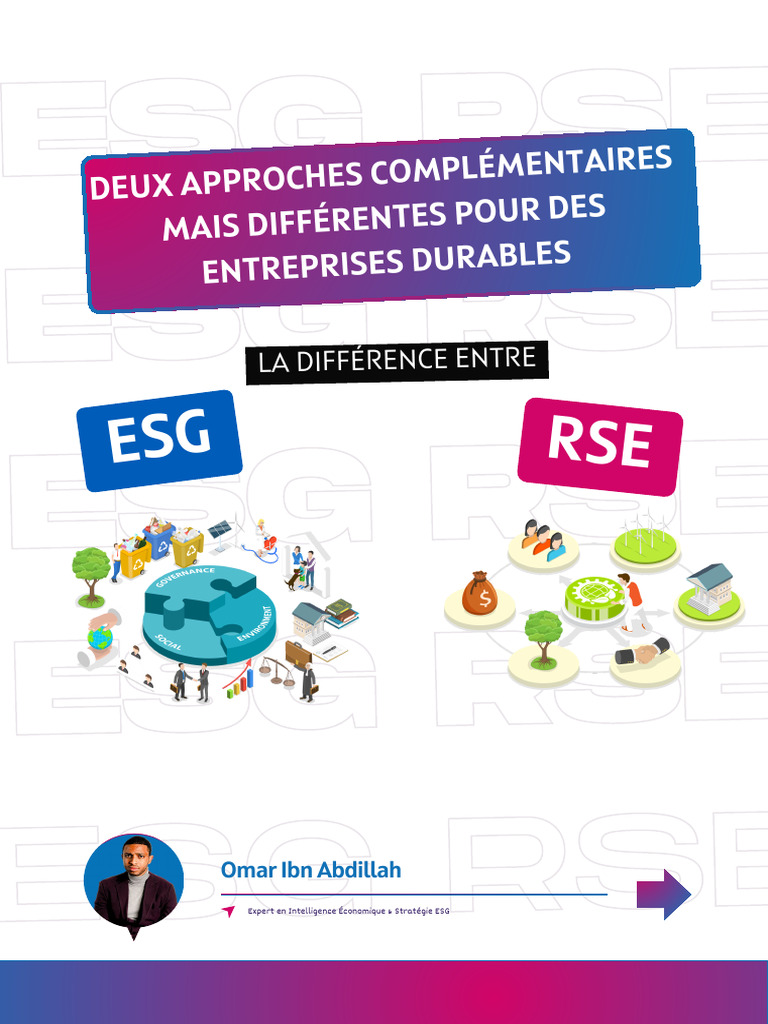 Comprendre La Différence Entre La RSE Et l'ESG | PDF