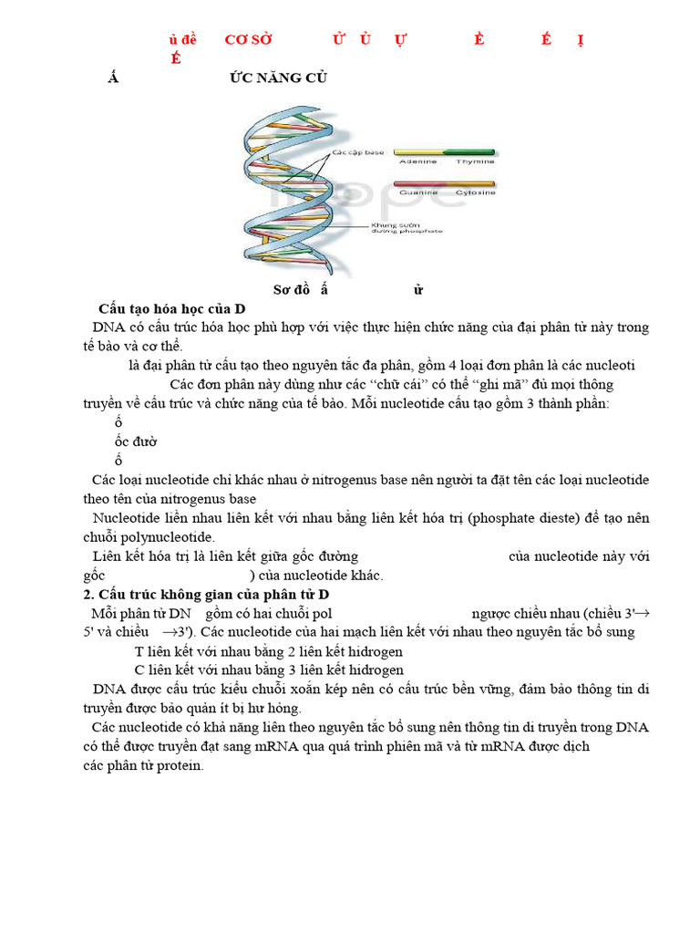 HSG-1-Lý thuyết chuyên sâu - DNA-Tái bản - Phiên mã | PDF