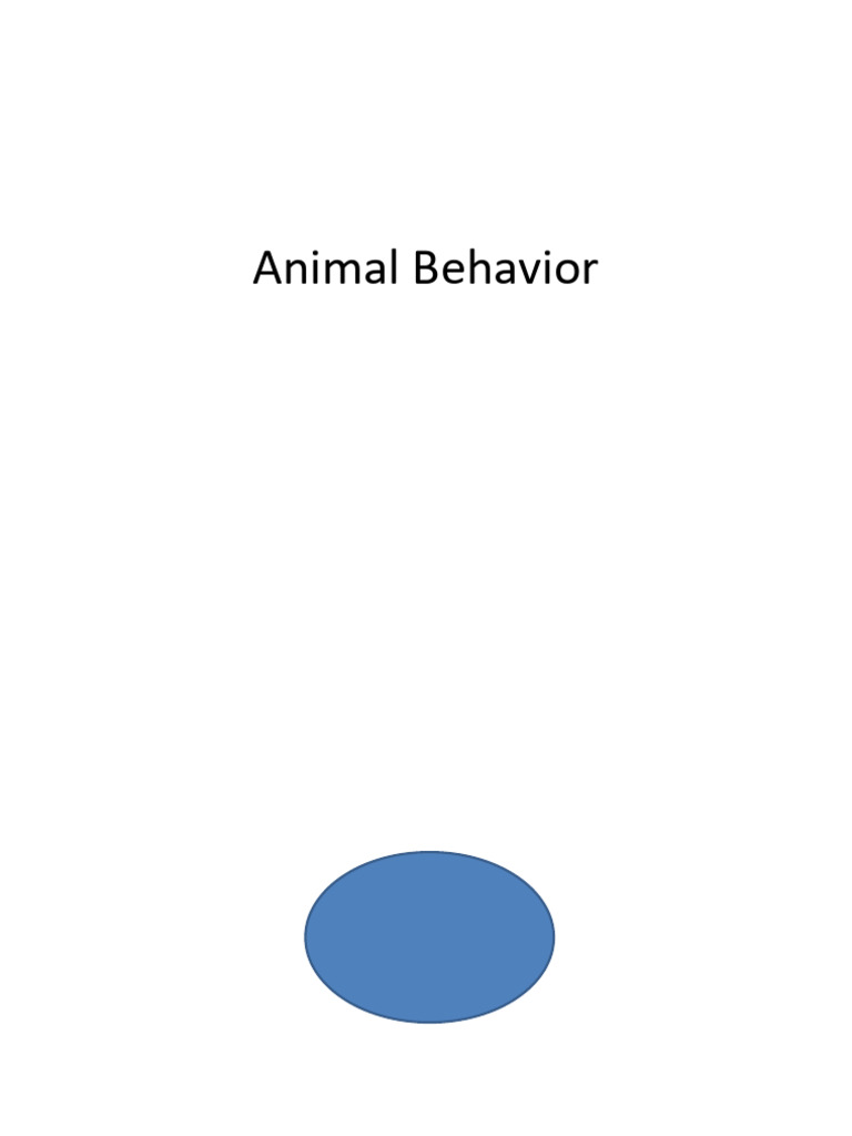 Behavior | PDF