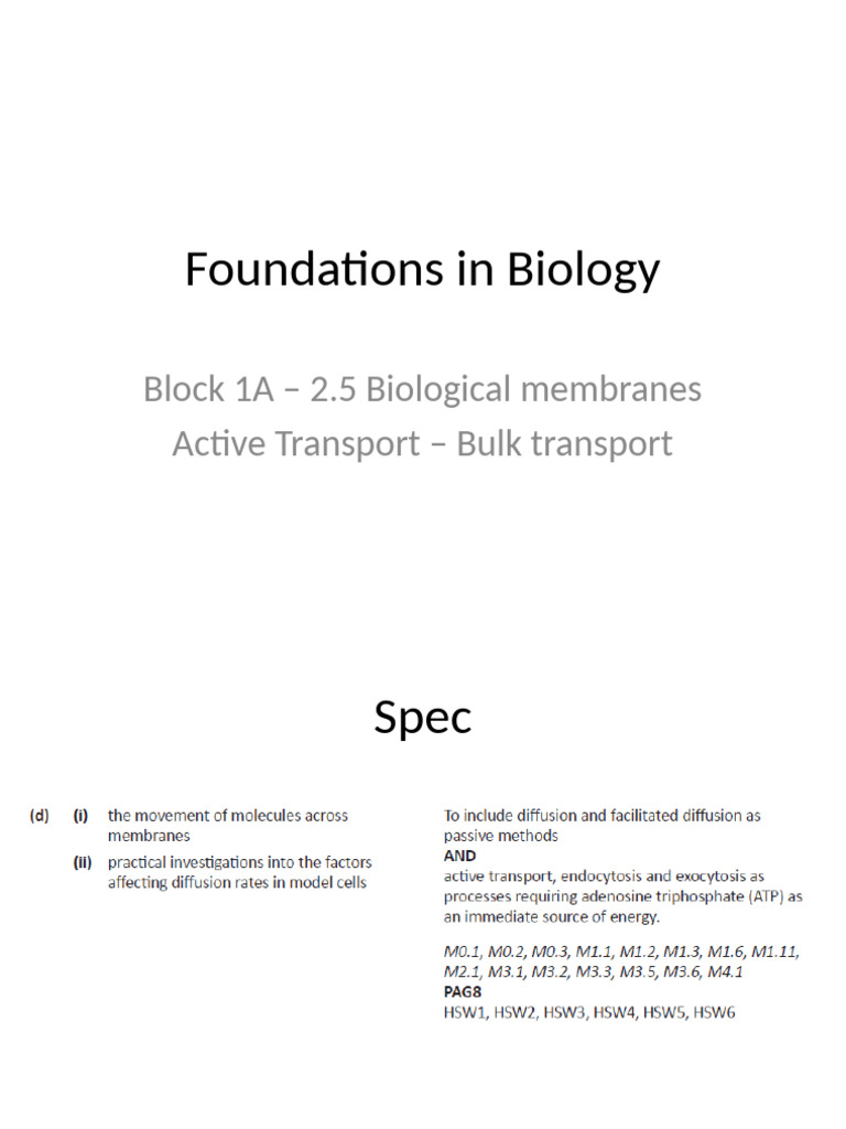 8. Active Transport Bulk Transport.ppt | PDF