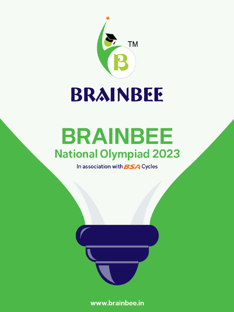 Brainbee PPT2 | PDF