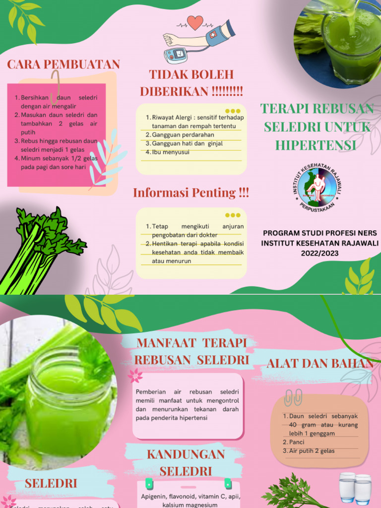 Terapi Seledri Leaflet | PDF