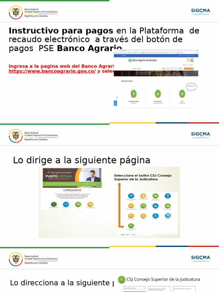 Instructivo Pago PSE | PDF