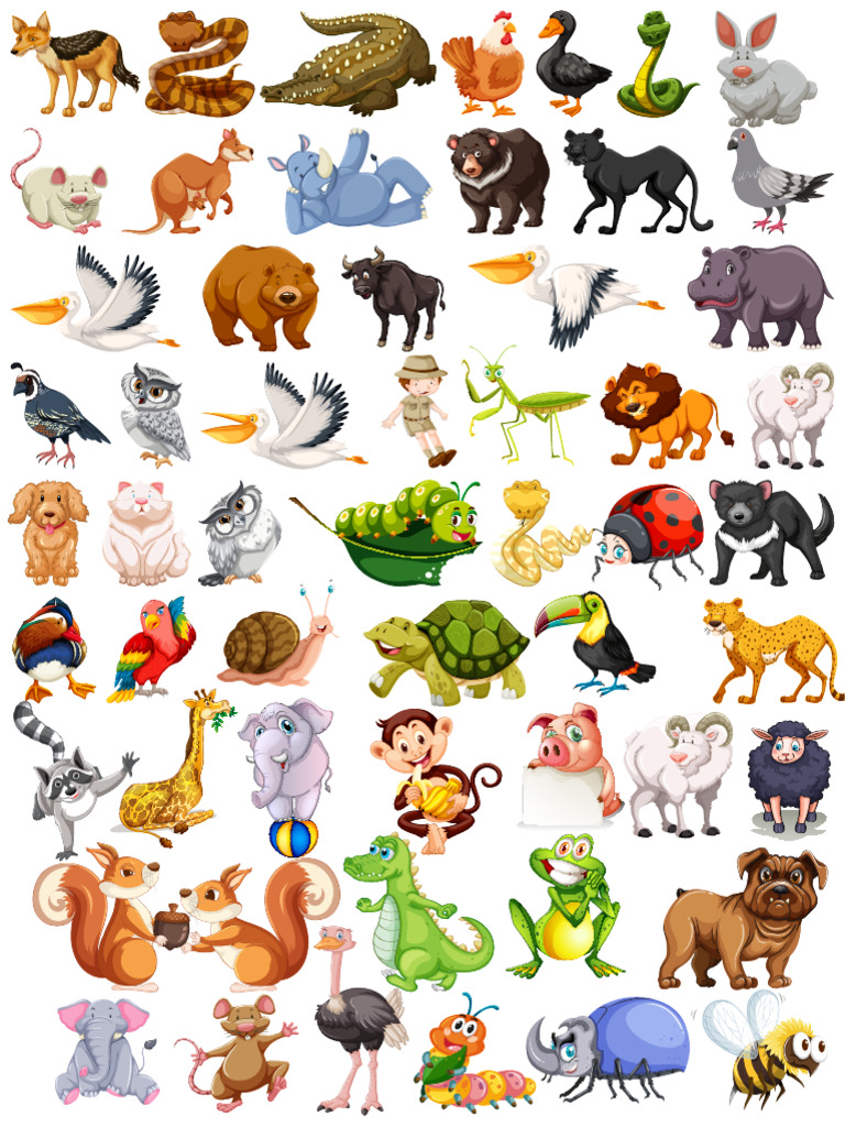 Animales D | PDF