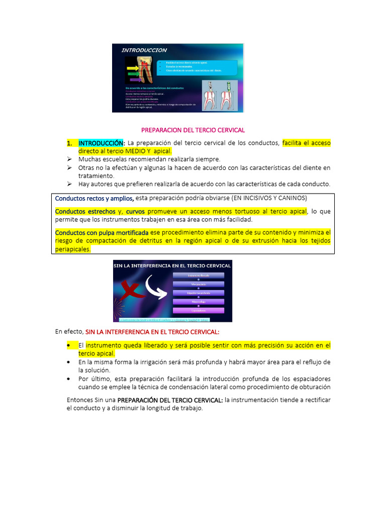 Preparacion Del Tercio Cervical Resumen | PDF