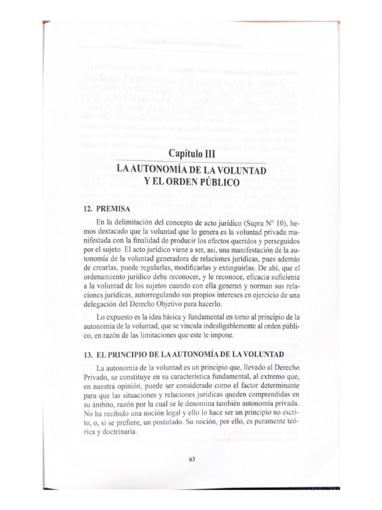 Capítulo III | PDF