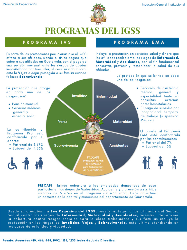 Programas Igss 22 Pdf
