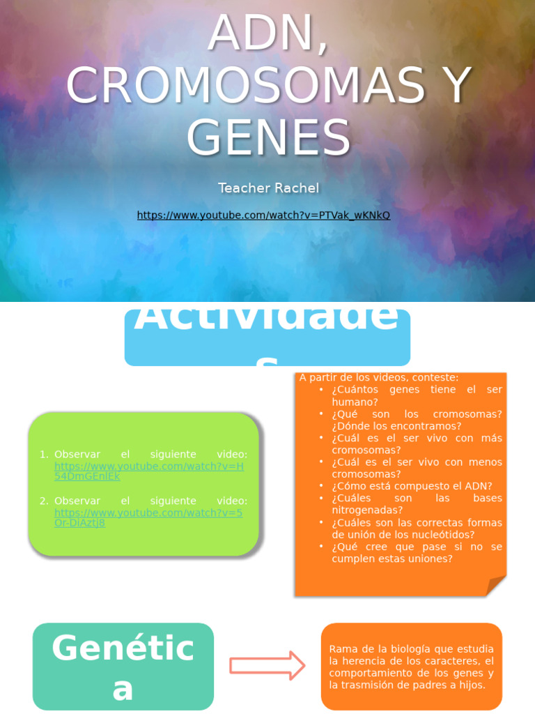 10° ADN, Cromosomas y Genes | PDF