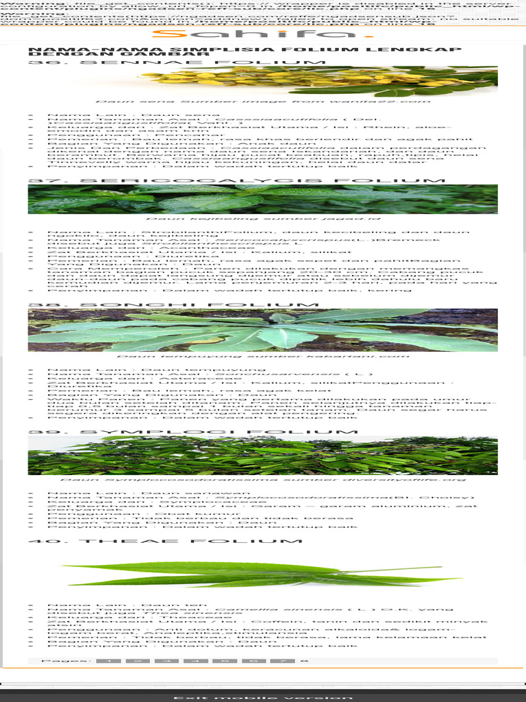 Nama-Nama Simplisia FOLIUM Lengkap Dengan Gambar | PDF