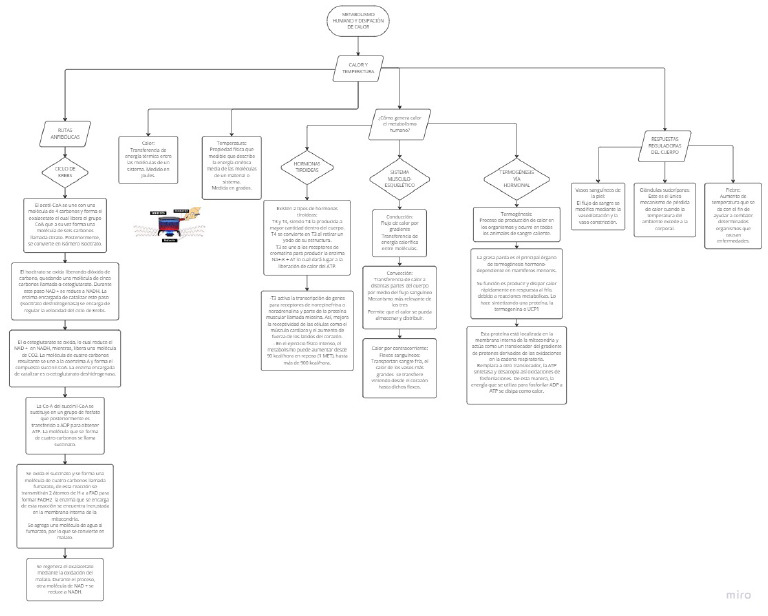 Mapa 5 | PDF