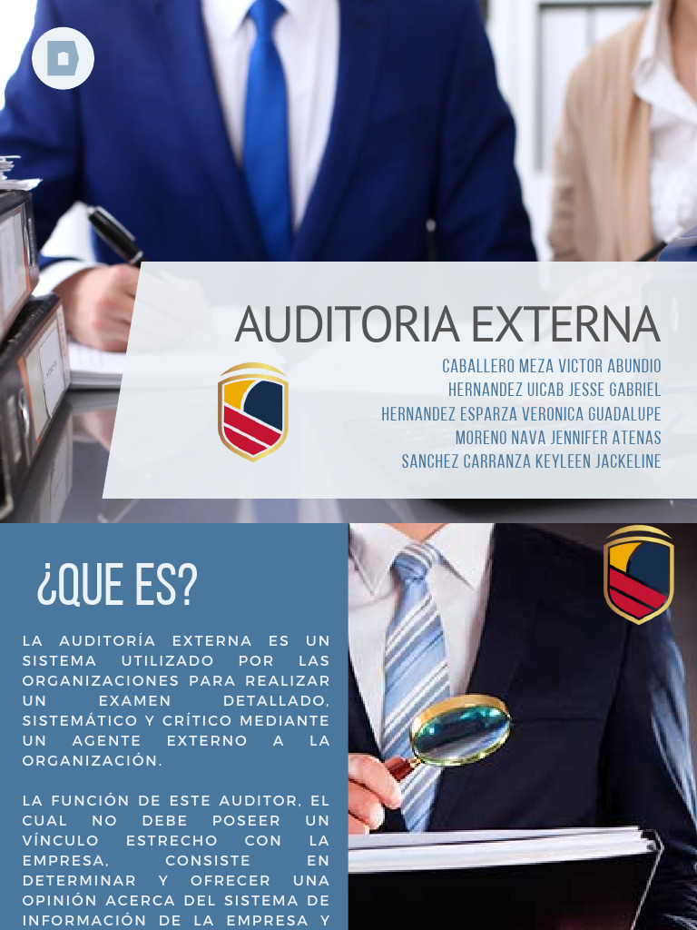 Auditoria Externa | PDF