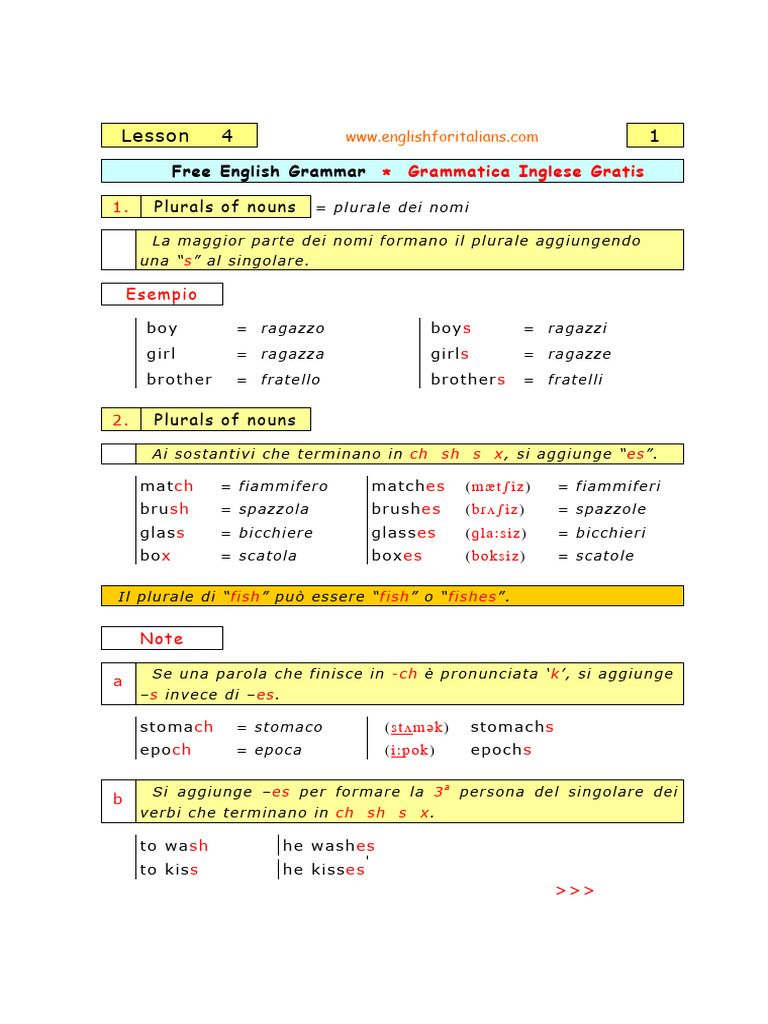 Plural Regular Irregular | PDF