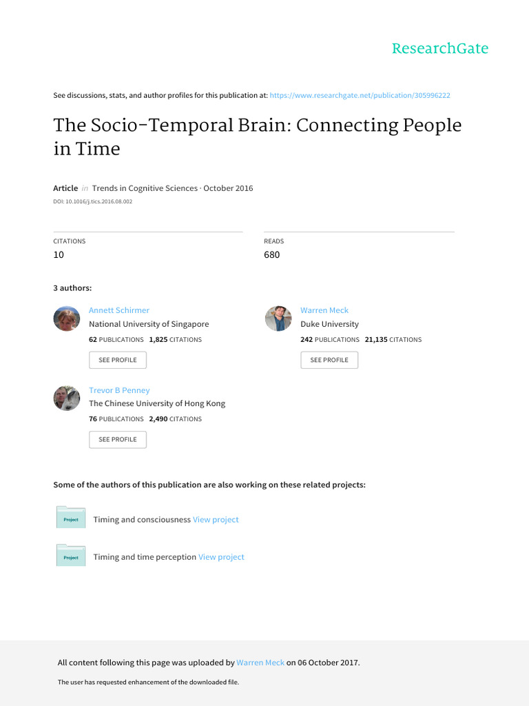The Socio-Temporal Brain Connecting People in Time | PDF
