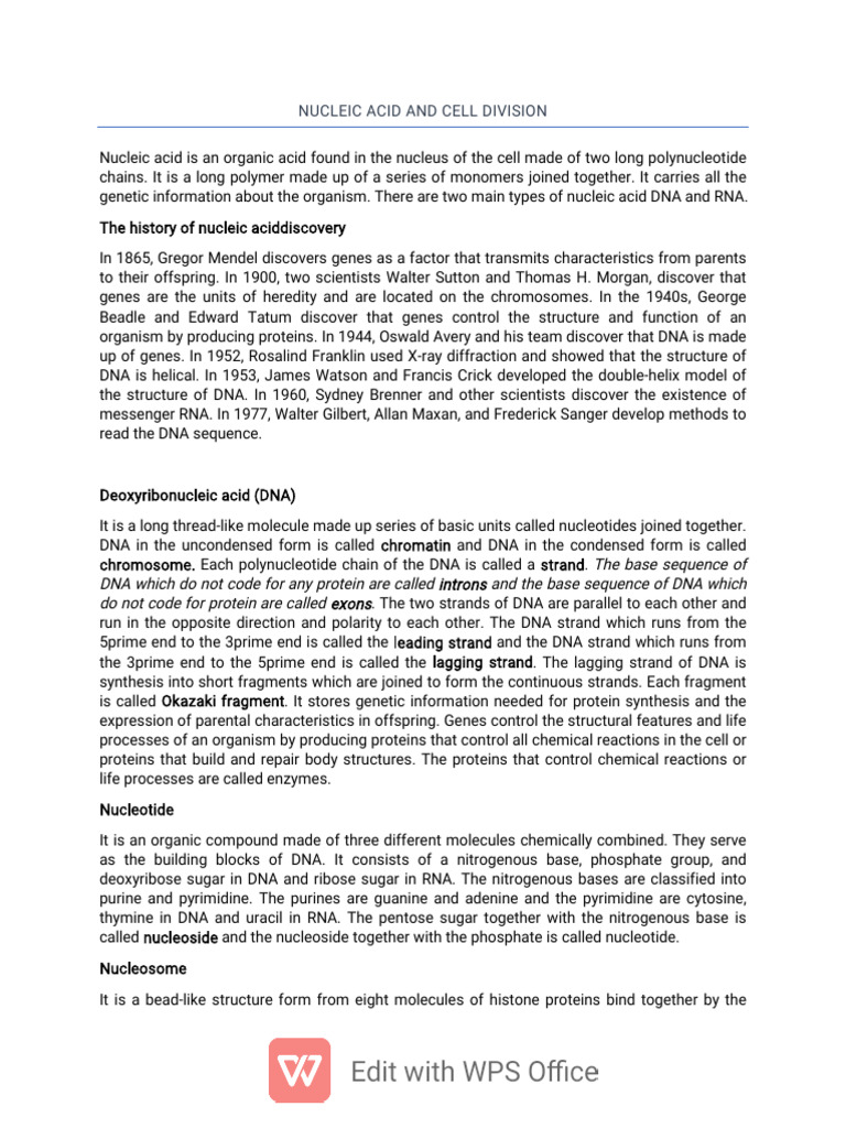 Nucleic Acid and Cell Division | PDF