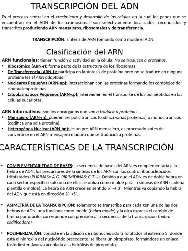 Transcripción Del ADN | PDF