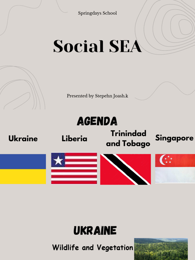 Social SEA | PDF