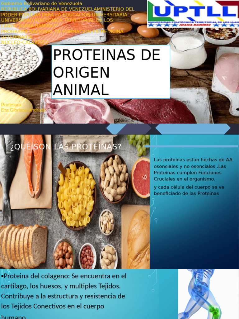 Proteínas 2 | PDF
