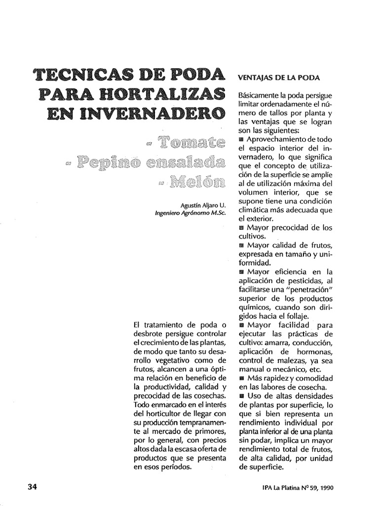 NR08870 - Tecnicas de Poda | PDF